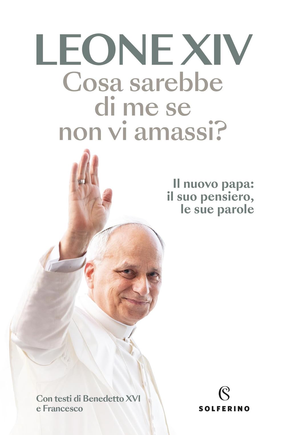 Leone XIV (Robert Cosa sarebbe di me se non vi amassi? Il nuovo papa ...