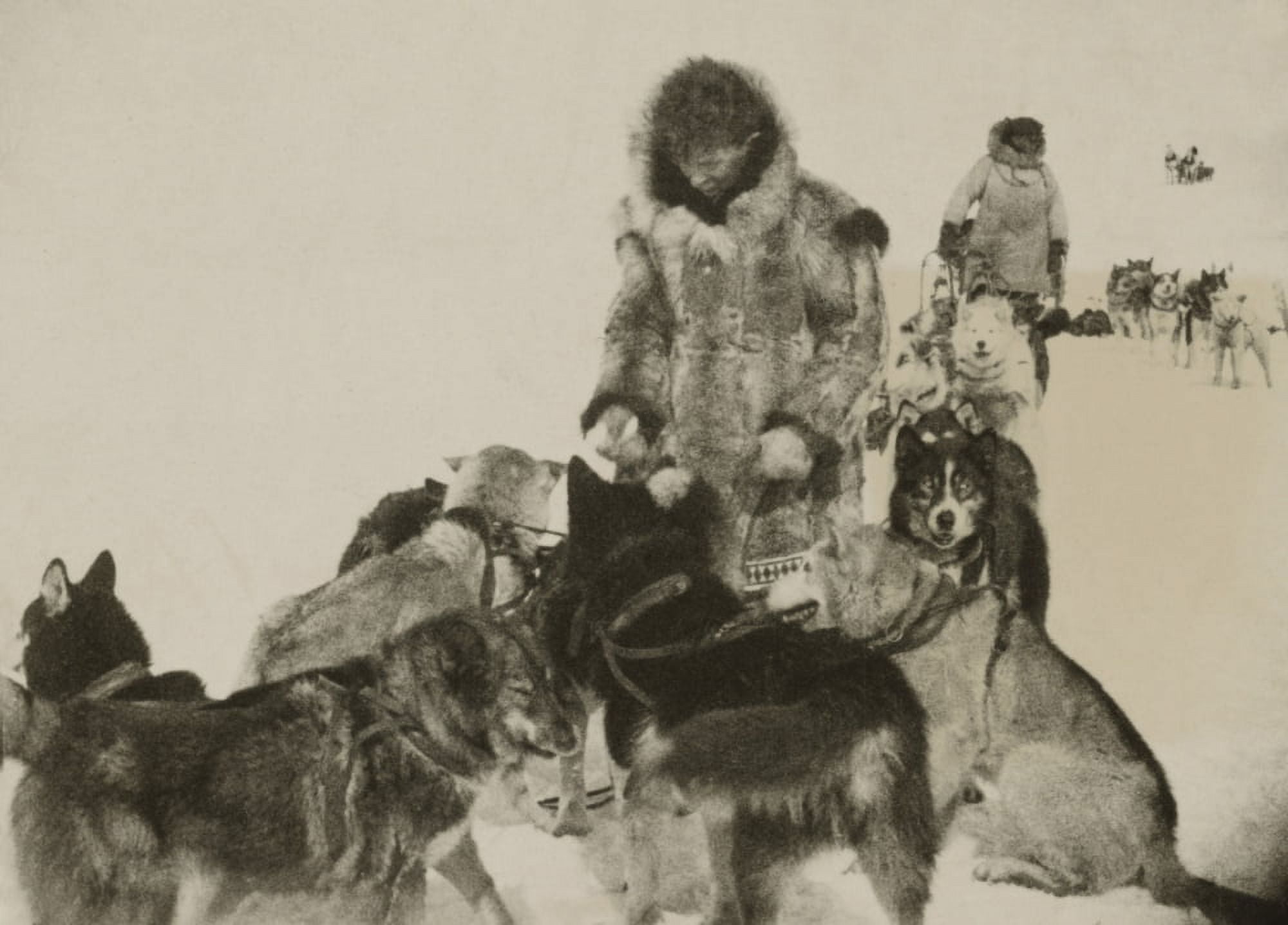 Leonhard Seppala And His Dog-Team History (24 x 18) - Walmart.com