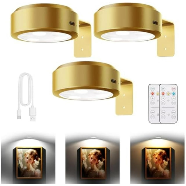 Leonneo Picture Lights for Wall, 3Pcs Wireless Rechargeable Magnetic ...