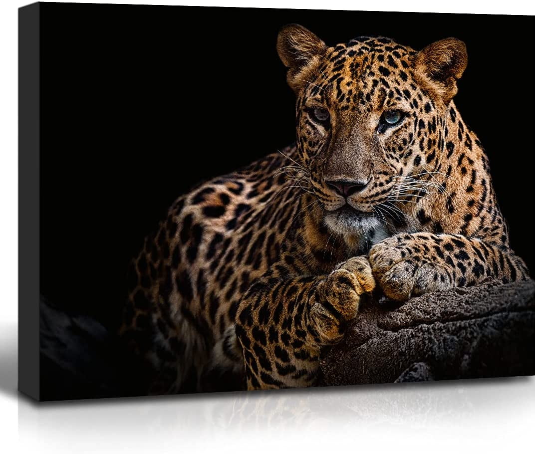 Busyhead, Leopard Canvas Prints, 12x16 inch, Wildlife Animal Wall Art ...