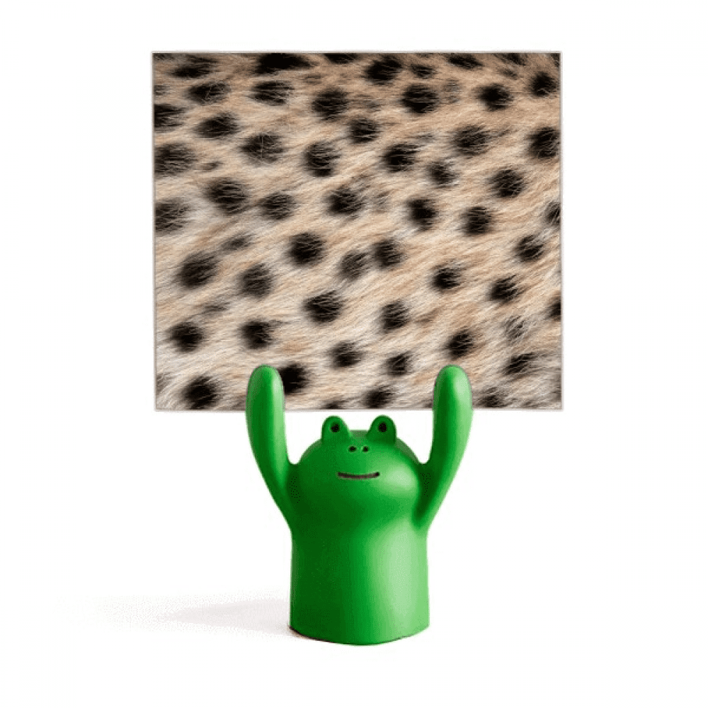 Leopard Feather Design Memo Holder Cartoon Animal Frog Stand Decoration ...