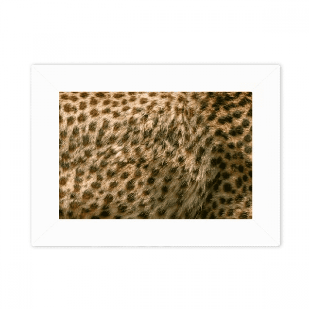 Leopard Feather Design Photo Mount Frame Picture Art Painting Desktop ...