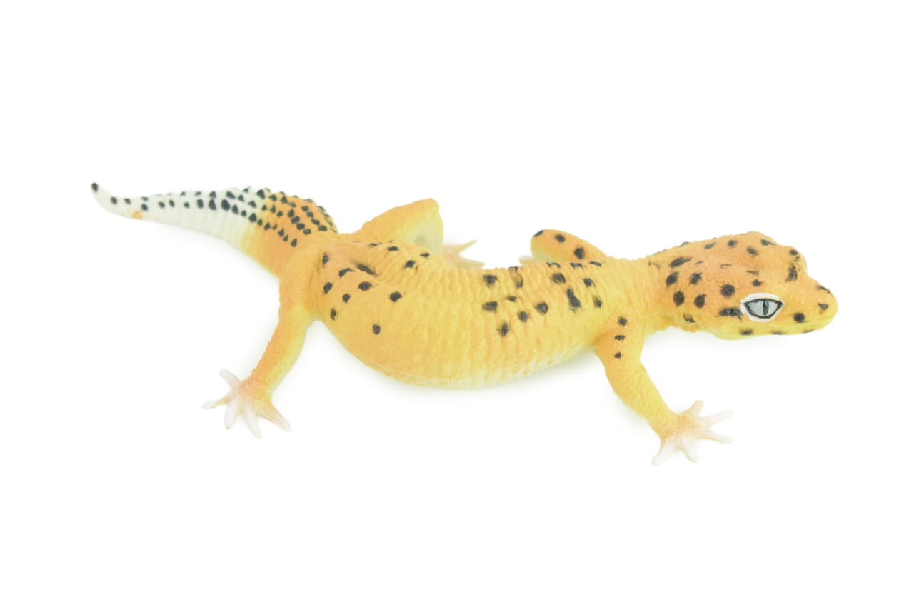 Leopard Gecko, Museum Quality, Educational, Hand Painted, Rubber Lizard ...