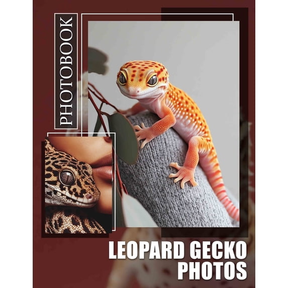 Leopard Gecko PhoTos Photo Book: Stunning Visuals Showcasing Unique ...
