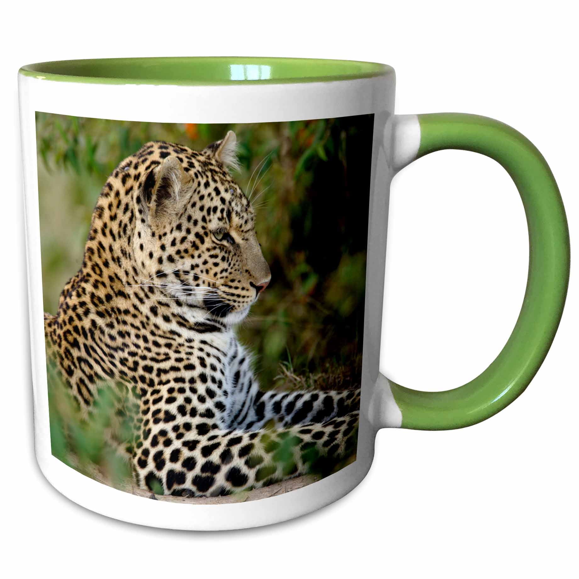 3drose, Leopard, Panthera Pardus. Masai Mara Game Reserve, Kenya-af21 ...