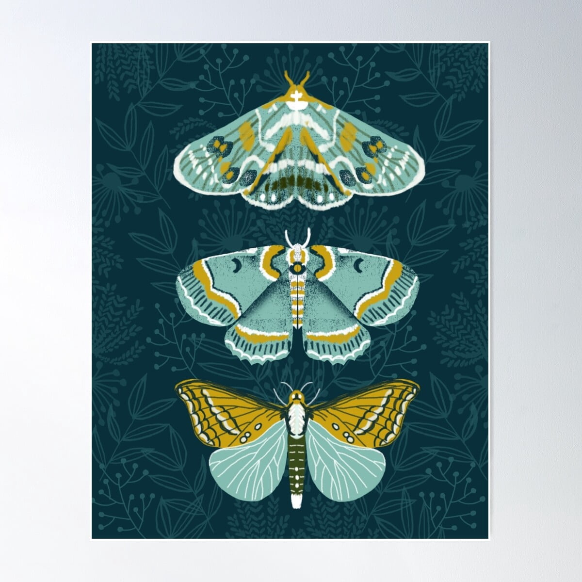 Lepidoptery No. 8 By Andrea Lauren Poster Wall Art, Modern Wall Decor ...