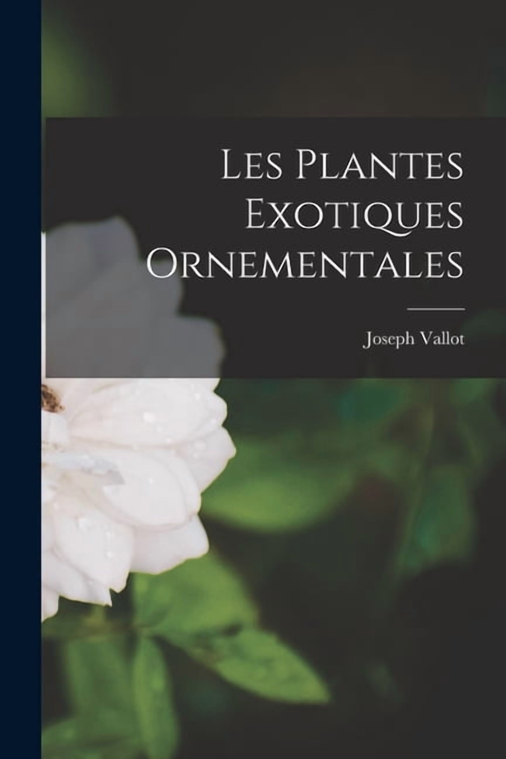 Joseph Vallot