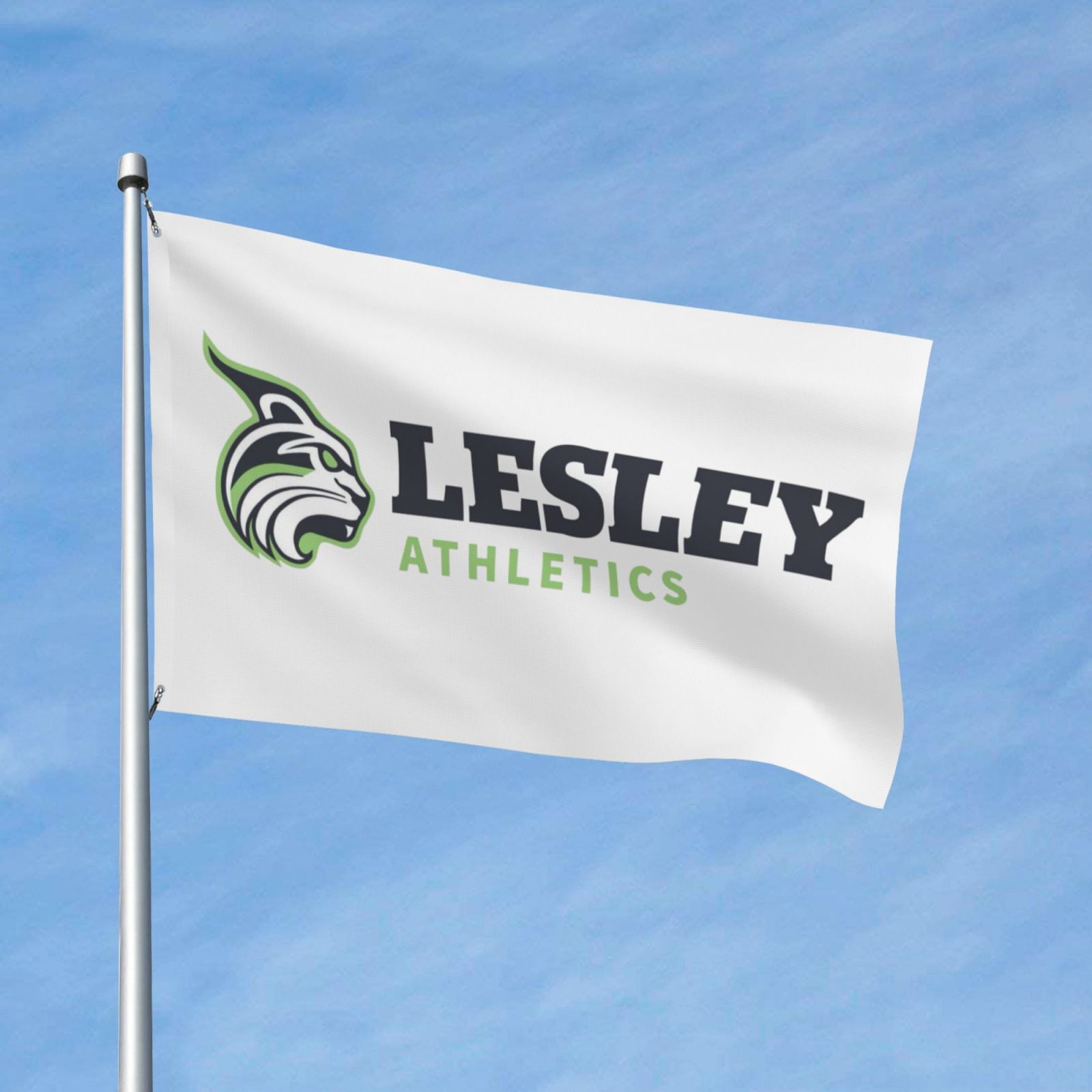 Lesley University Logo 3x5ft Double Sided Outdoor Decorative Flags ...