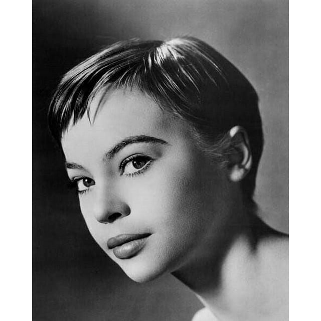 Leslie Caron beautiful portrait elfin like 1950's era 24x30 inch poster ...