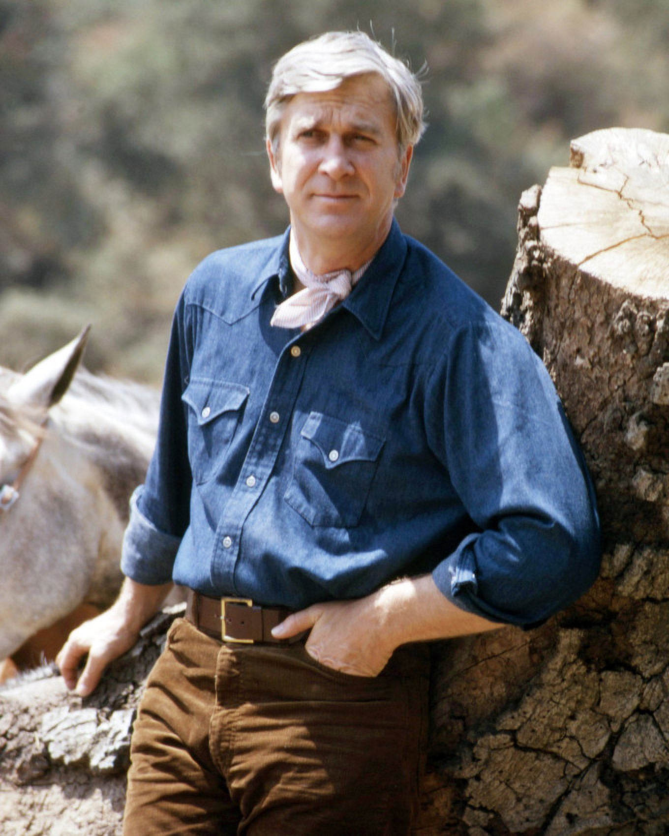 Leslie Nielsen 24X36 Classic Hollywood Poster 1970's Portrait - Walmart.com