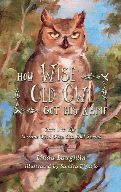 Lessons with Wise Old Owl How Wise Old Owl Got His Name, Book 1 ...