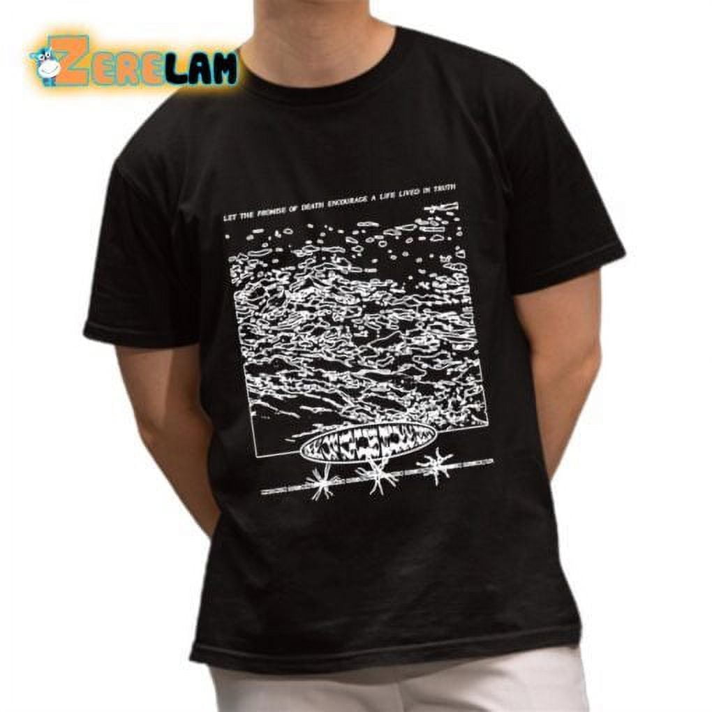 Let The Promise Of Death Encourage A Life Lived In Truth Shirt ...