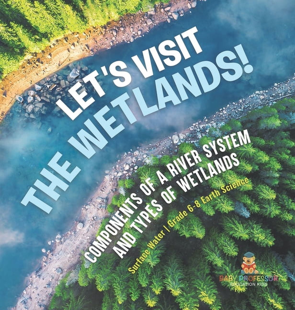 Let's Visit the Wetlands! Components of a River System and Types of ...
