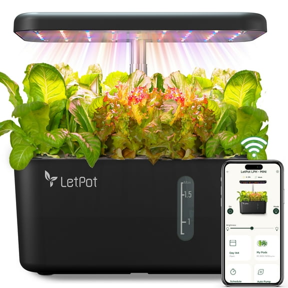 Click and Grow Smart Garden 3 | Indoor Home Kit for Vegetables and ...