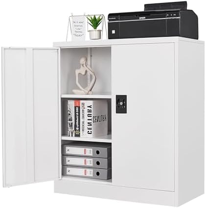Letaya Metal Storage Cabinets with Lock Door,2 Adjustable Shelves ...