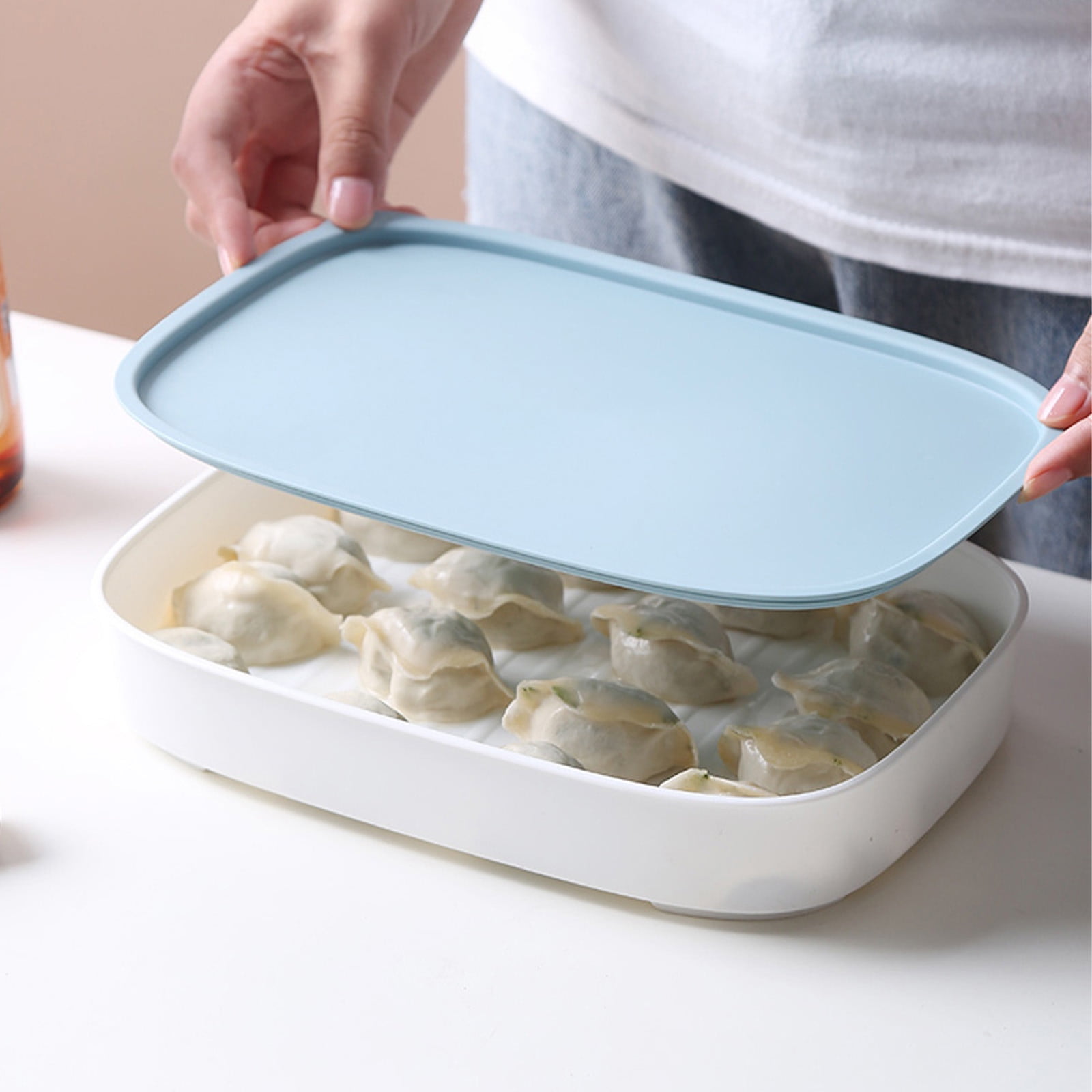 Letfool Dumpling Storage Lunchbox,Meal Prep Container with Cover ...