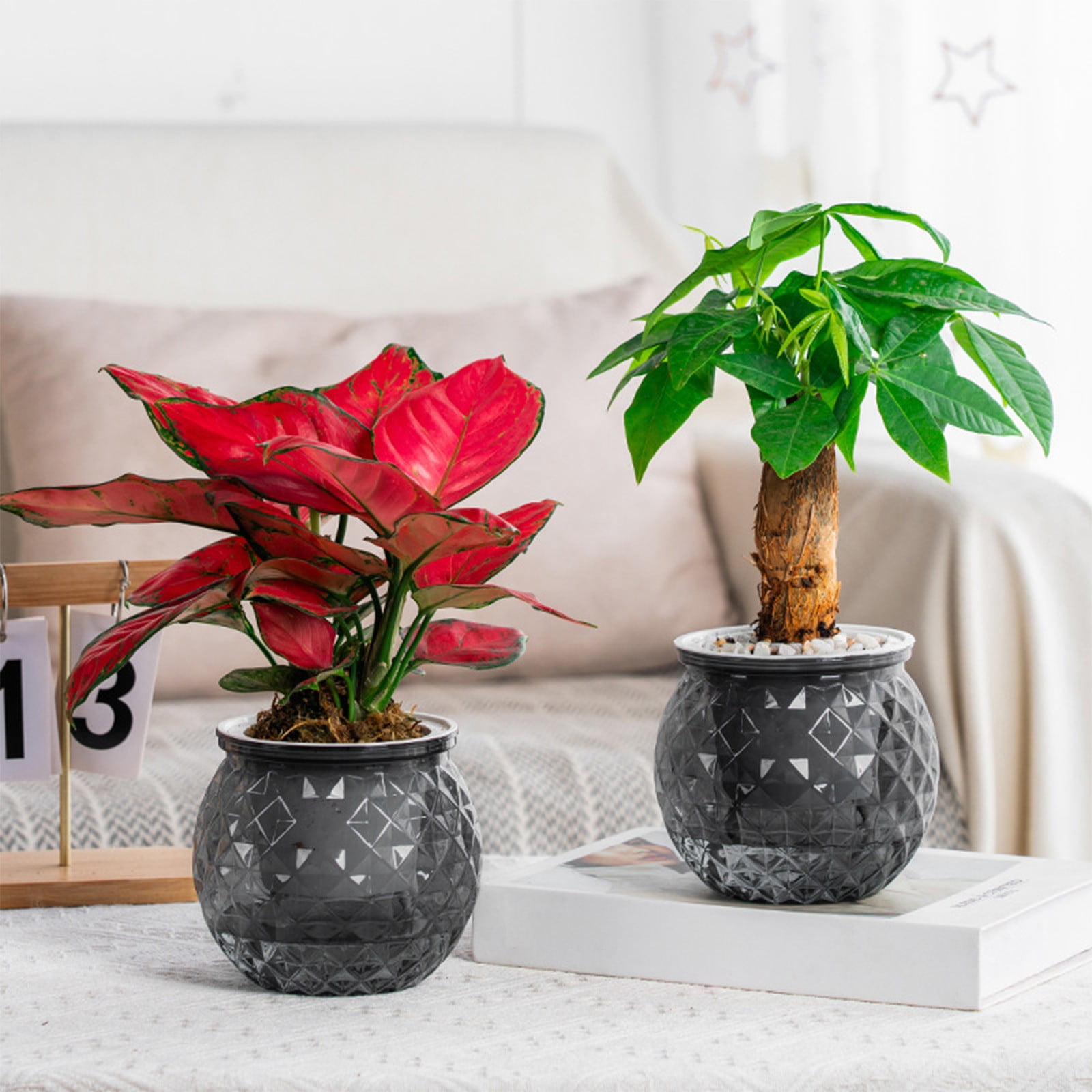 Letfool Transparent Plastic Garden Pots Planter with Saucer, Living ...