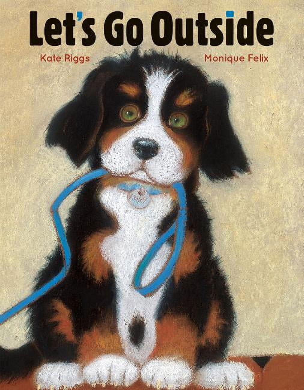 Lets Go Outside (Board Book) - Walmart.com