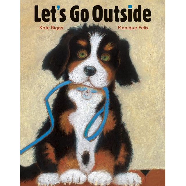 Lets Go Outside (Board Book) - Walmart.com