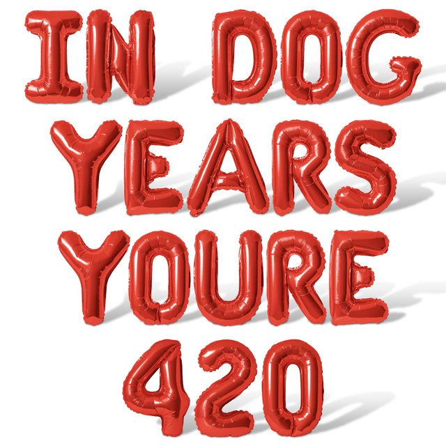Letter Balloons - IN DOG YEARS YOURE 420 16" Inch Alphabet Letters Foil ...