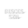 Letter Balloons - PISCES SZN 16" Inch Alphabet Letters Foil Mylar ...