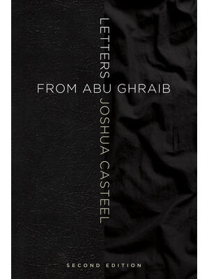 Letters from Abu Ghraib, Second Edition - Walmart.com