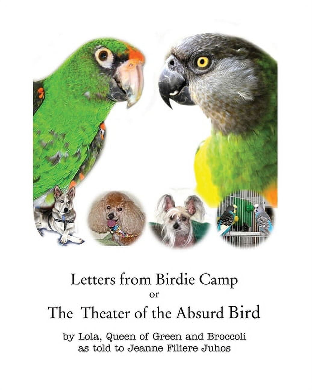 Letters from Birdie Camp: The Theater of the Absurd Bird, (Paperback ...