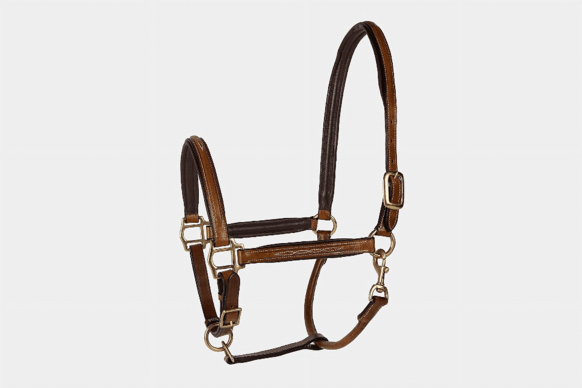 Lettia Padded Leather Halter with Fancy Stitching - Walmart.com