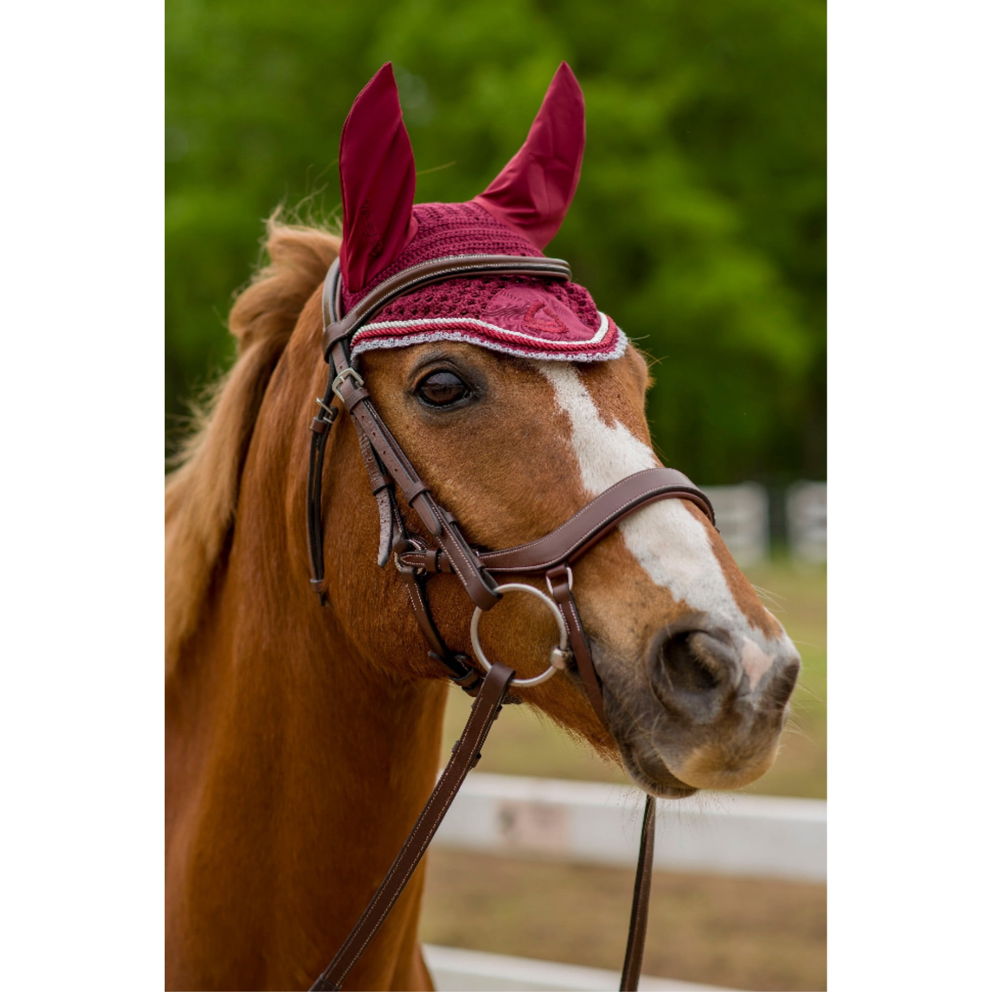 Lettia Shadow Ear Net- Wine - Walmart.com