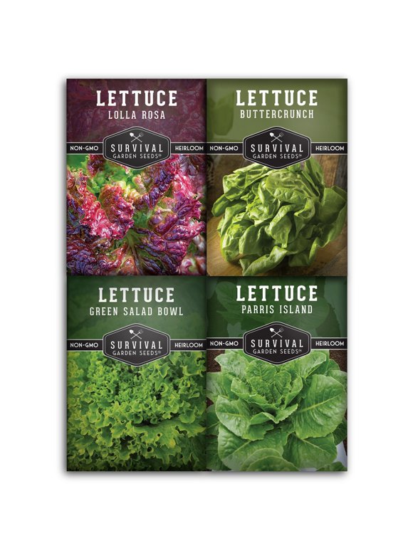 Lettuce Seeds in Seed Gardening - Walmart.com