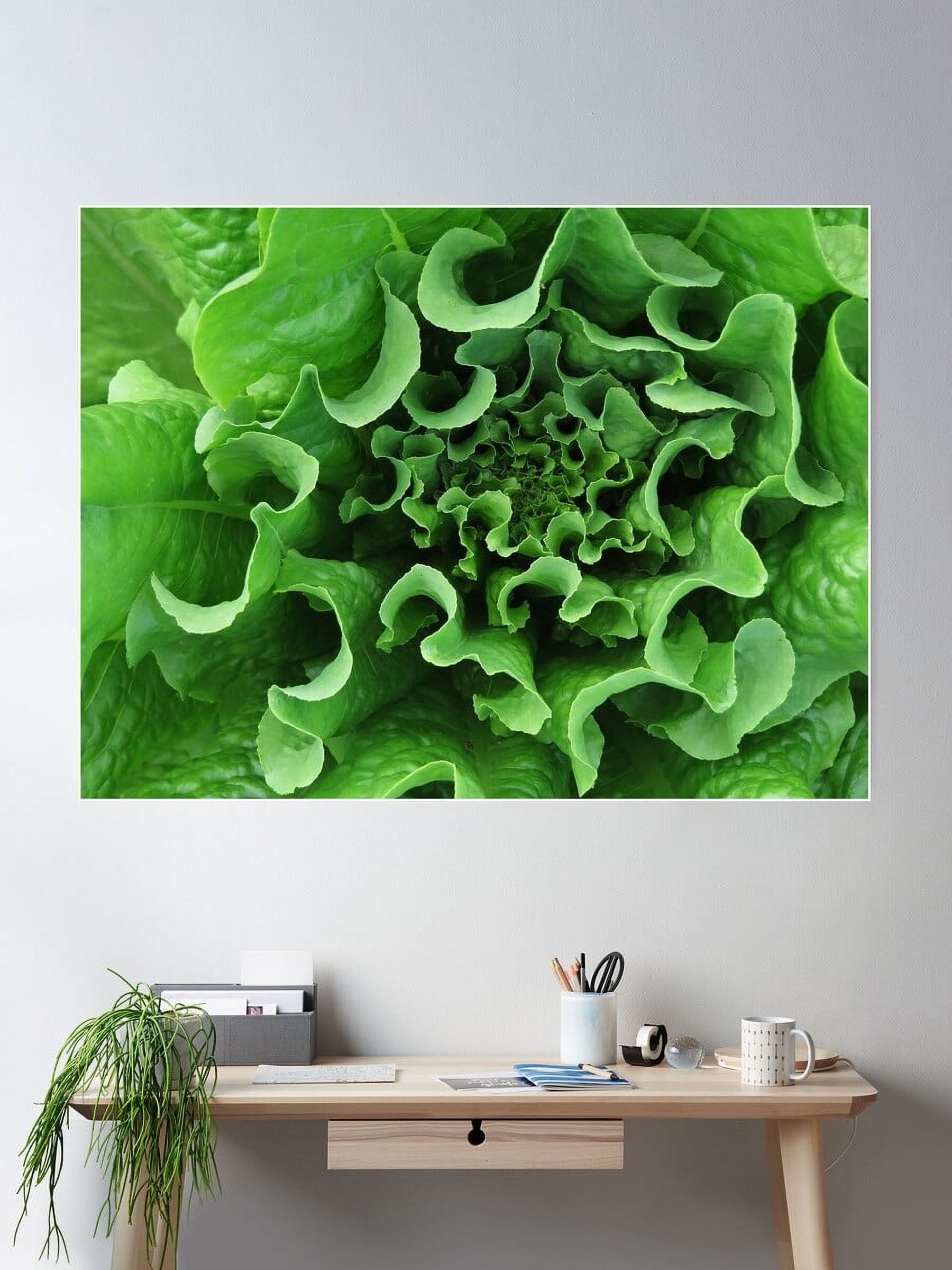 Lettuce Harvest Poster Wall Art, Modern Wall Decor For Living Room ...