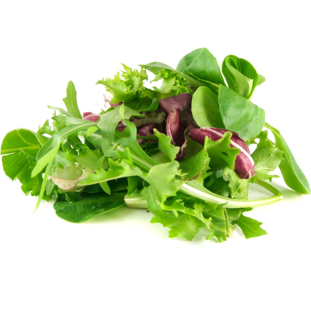 Lettuce Mix SeedsITSC 1500+ - Walmart.com