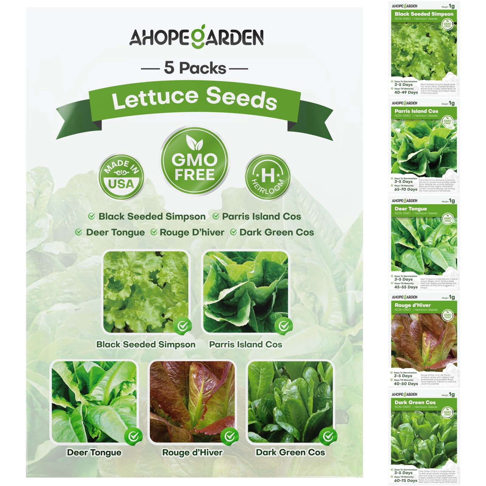 Lettuce Non GMO, Including Rouge d'Hiver, Dark Green Cos, Black Seeded ...