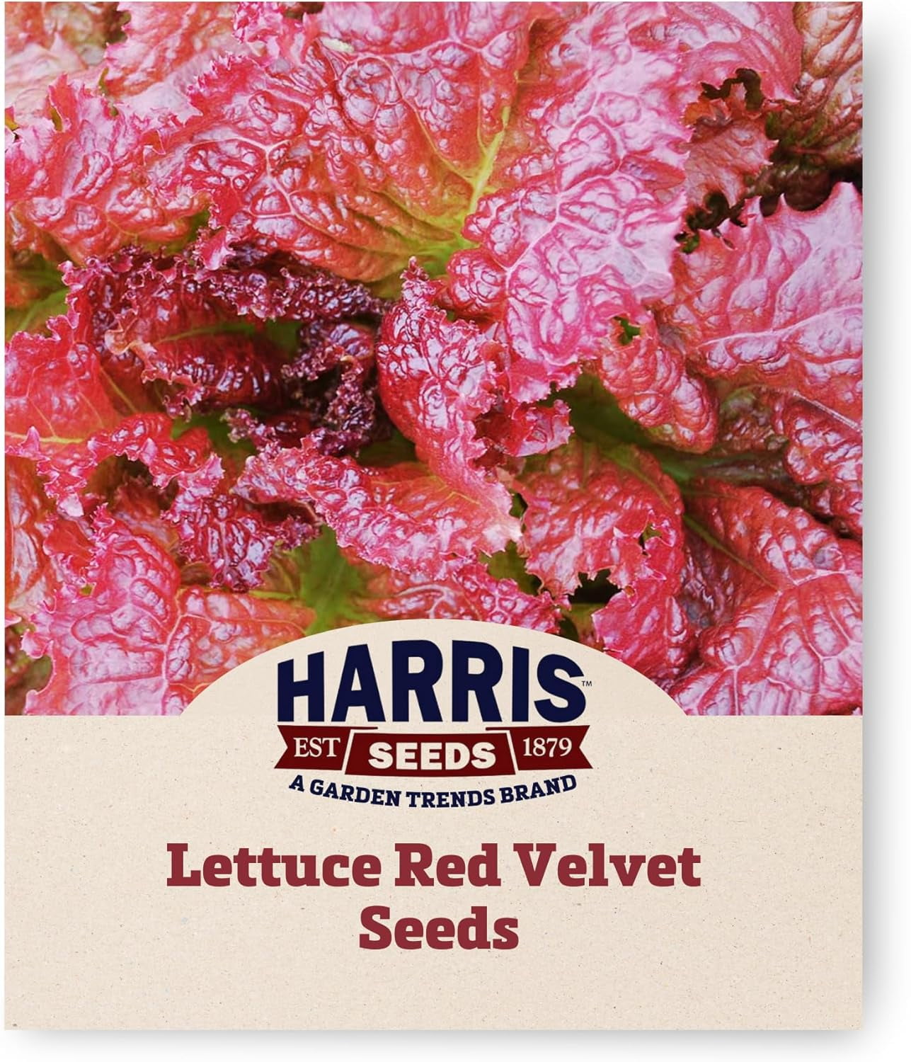 Harris Seeds - Lettuce Seeds Red Velvet Variety Maroon Colored Leaves ...