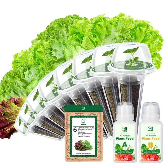 Lettuce Seed Pod CORNET Kit, Romaine, Butter Head, Red Sail, Red&Green ...