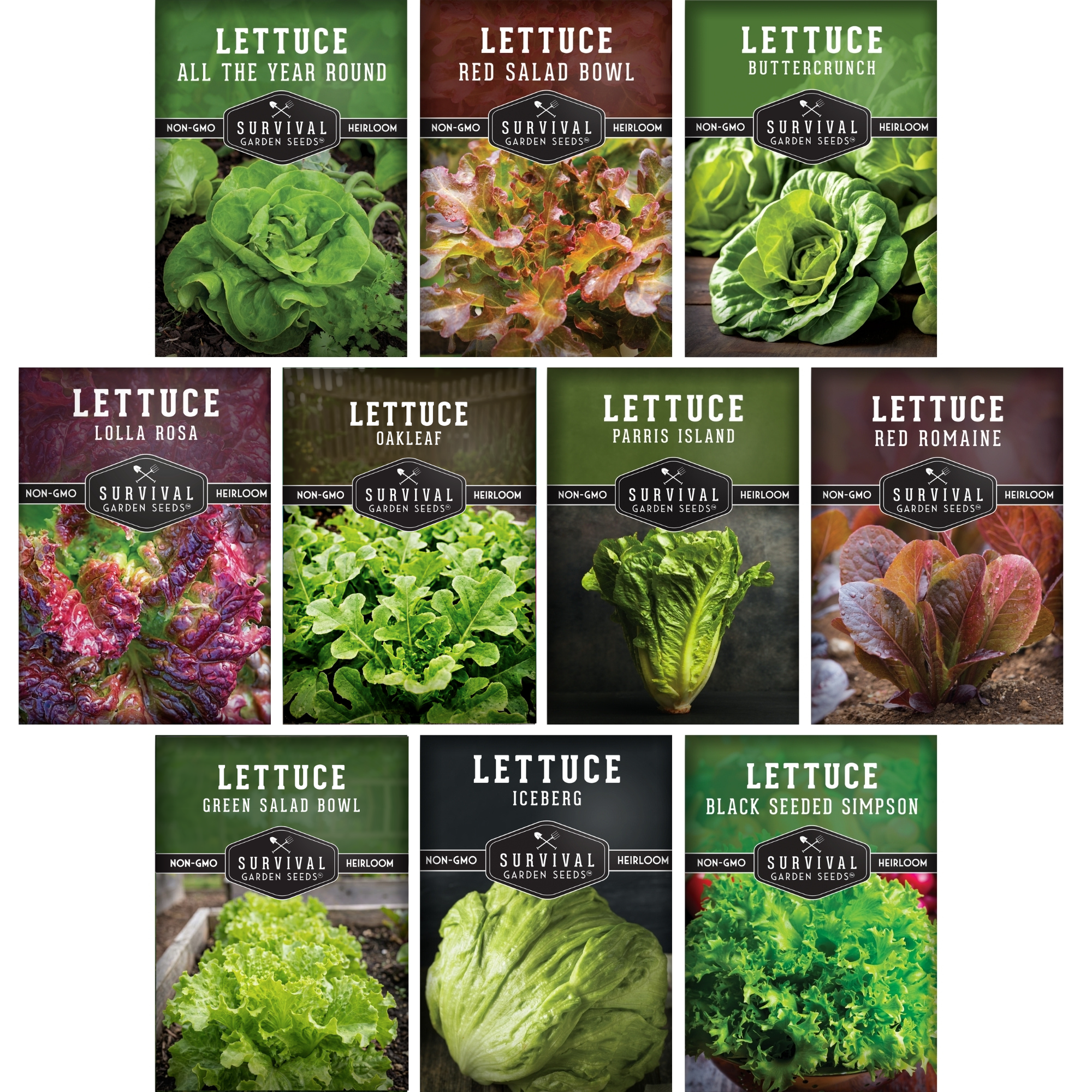 Survival Garden Seeds Lettuce Seeds Variety Pack 10 Heirloom Types ...