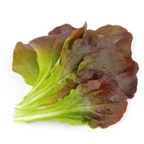Merlot Leaf Lettuce Seeds - 1 g Packet ~850 Seeds - Non-GMO, Heirloom ...