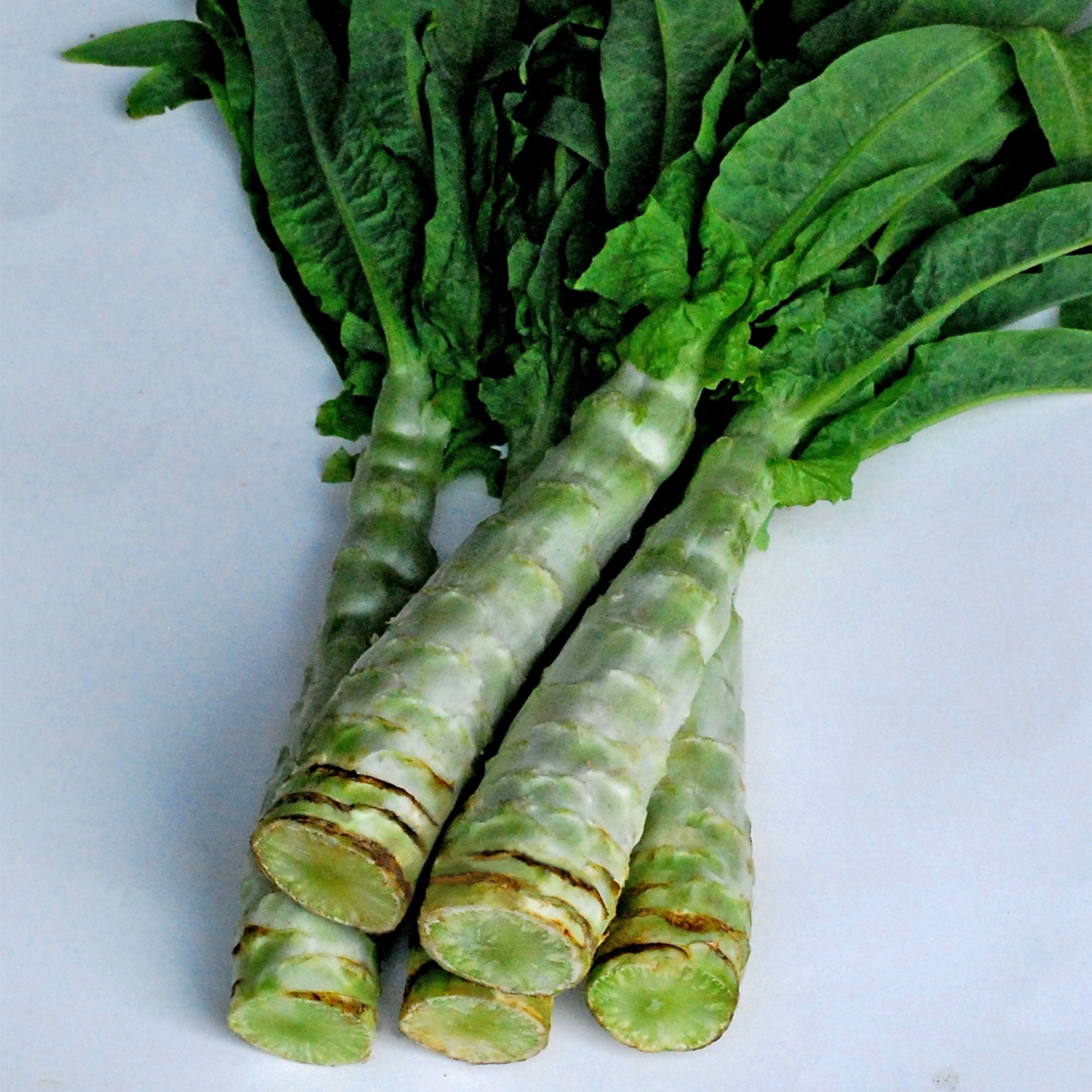 Lettuce Seeds - Summer 38 Celtuce - 1 Lb ~296000 Seeds - Non-GMO ...