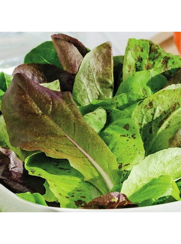 Lettuce Seeds in Seed Gardening - Walmart.com