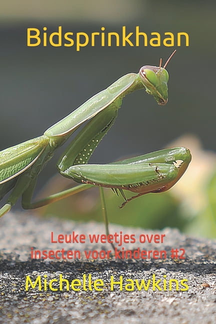 Leuke Weetjes Over Insecten Voor Kindere Bidsprinkhaan: Leuke weetjes ...