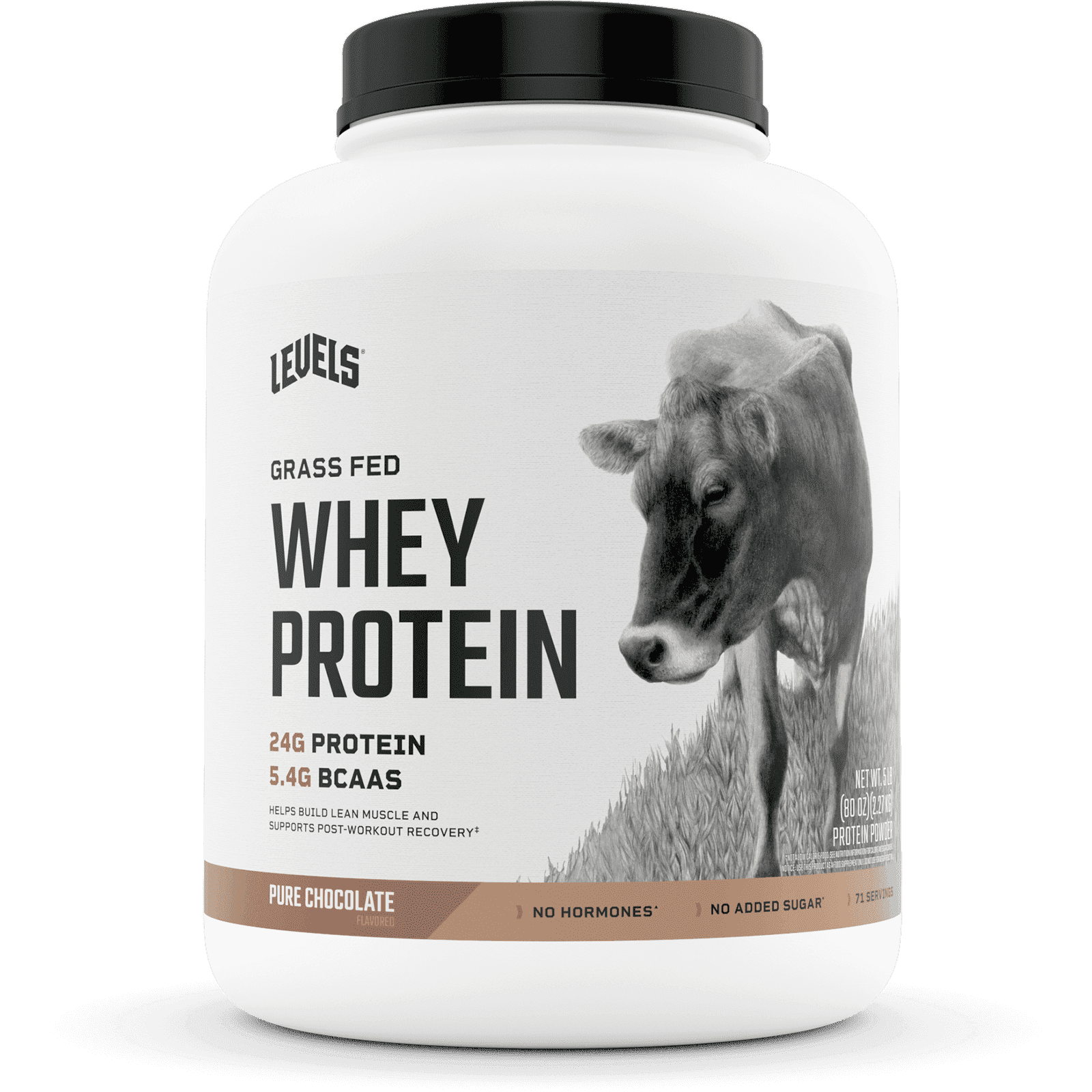 Levels Natural Whey Protein Concentrate, Grass Fed, No Hormones, Pure ...