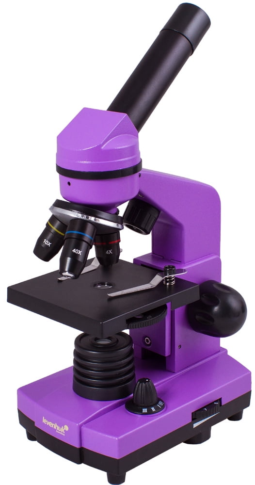 Levenhuk Rainbow 2L Amethyst Microscope - Walmart.com