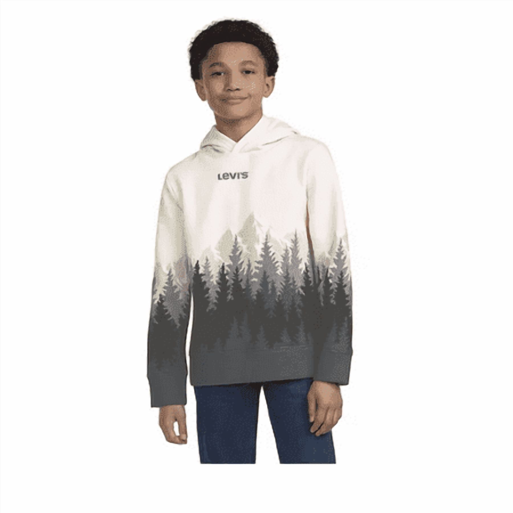 Levi's Boy's X-Large Dark Shadow Fleece Hoodie - Walmart.com