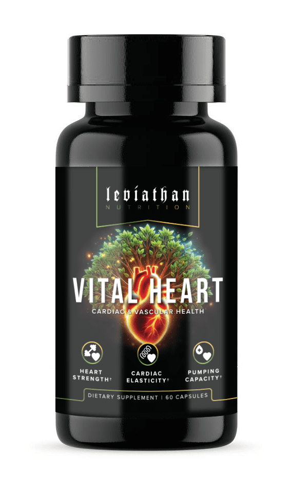 Leviathan Nutrition Vital Heart - Cardiac & Vascular Health - Walmart.com