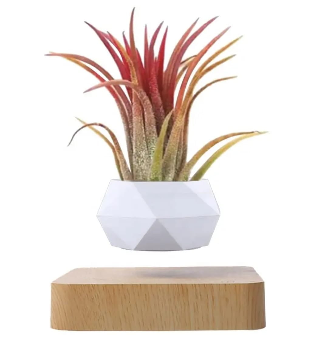 Levitating Air Bonsai Pot, Rotation Flower Pot Planters, Magnetic ...