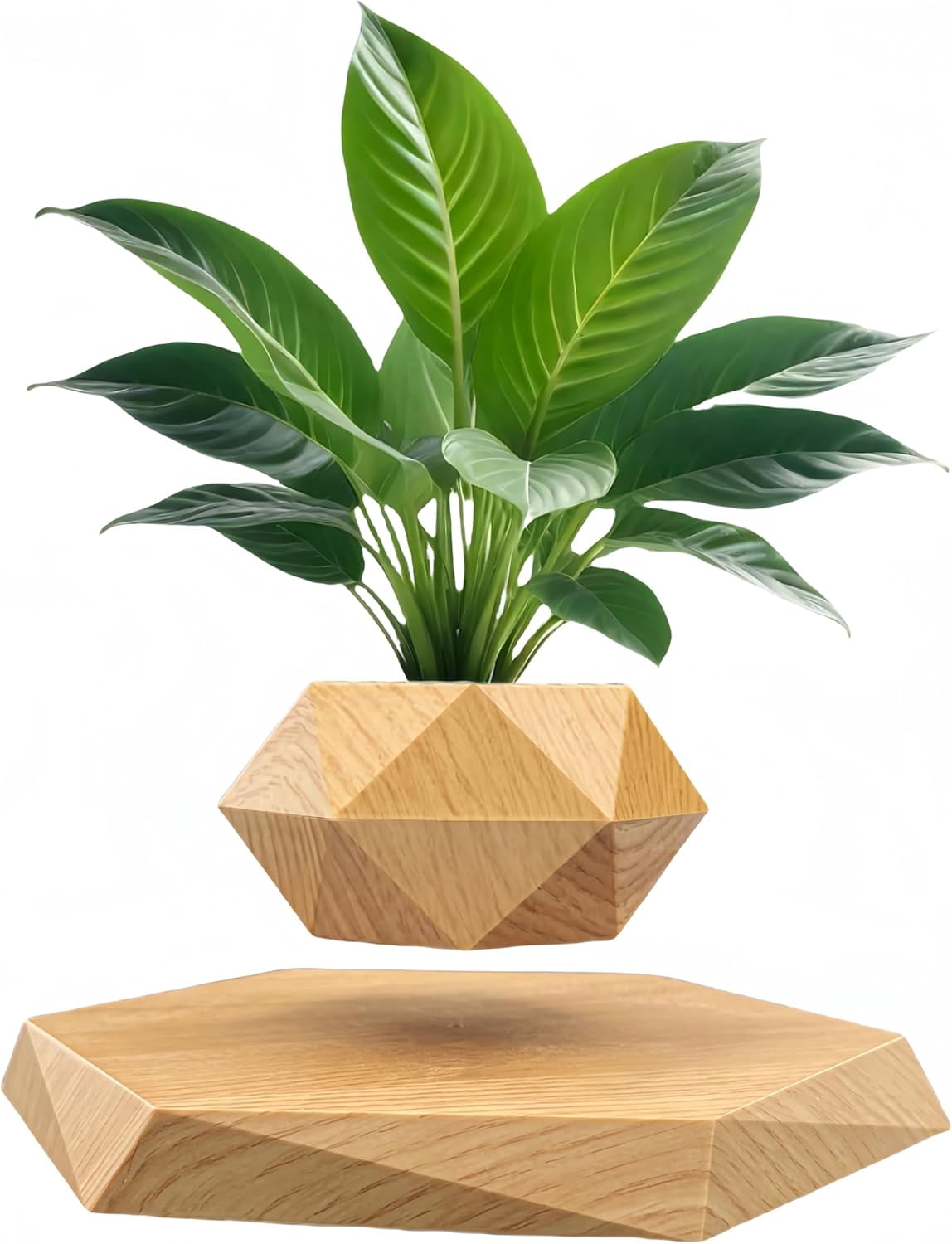 Levitating Plant Pot, Floating Plant Pot Small Floating Flower Pot, 360 ...