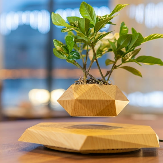 Levitating Plant Pot, Floating Plant Pot For Small Plants. Levitating ...