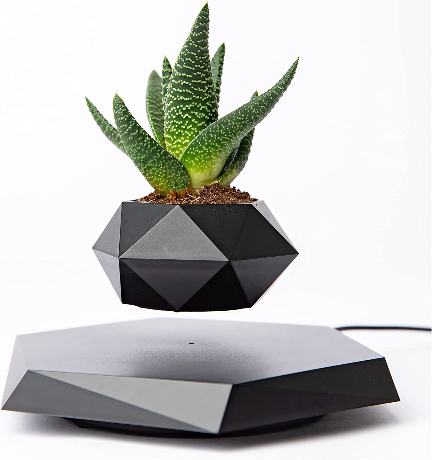 Levitating Plant Pot - Floating Plant Pot for Small Plants. Levitating ...