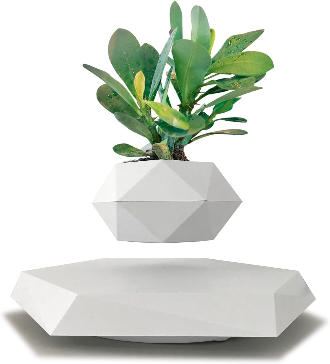 Levitating Plant Pot, Floating Plant Pot for Small Plants. Levitating ...