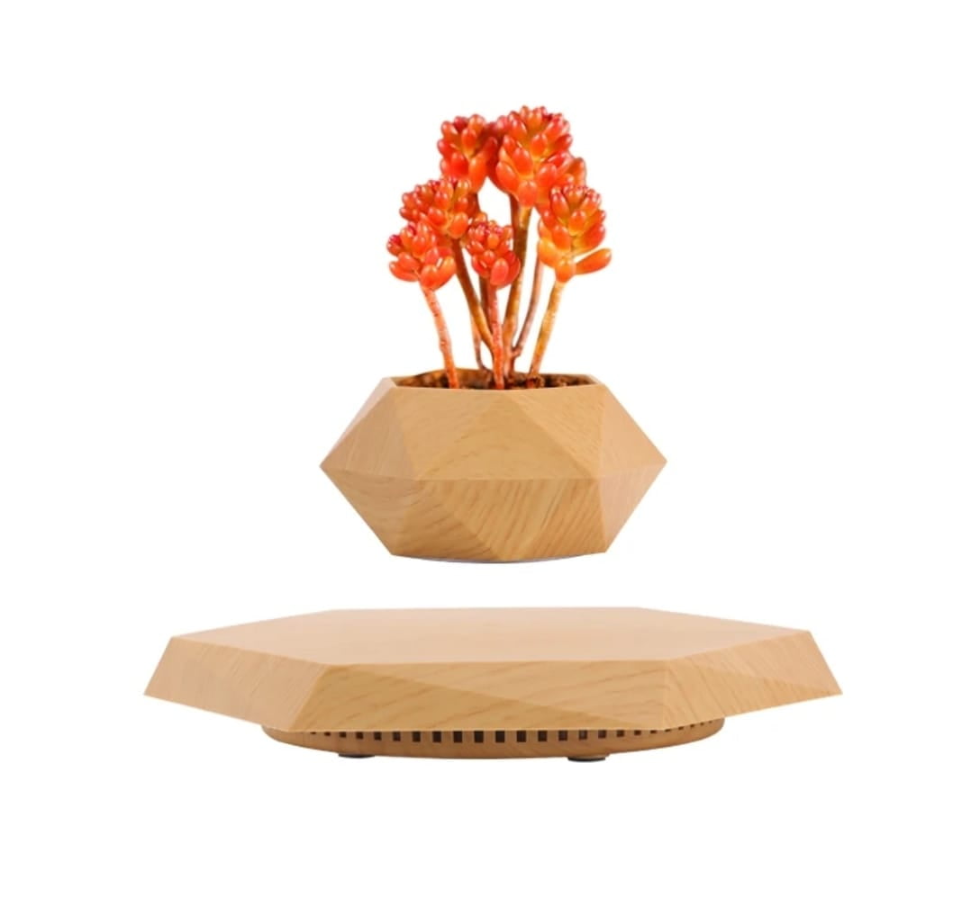Levitating Plant Pot, Magnetic Floating Planter Pot, Levitating Flower ...